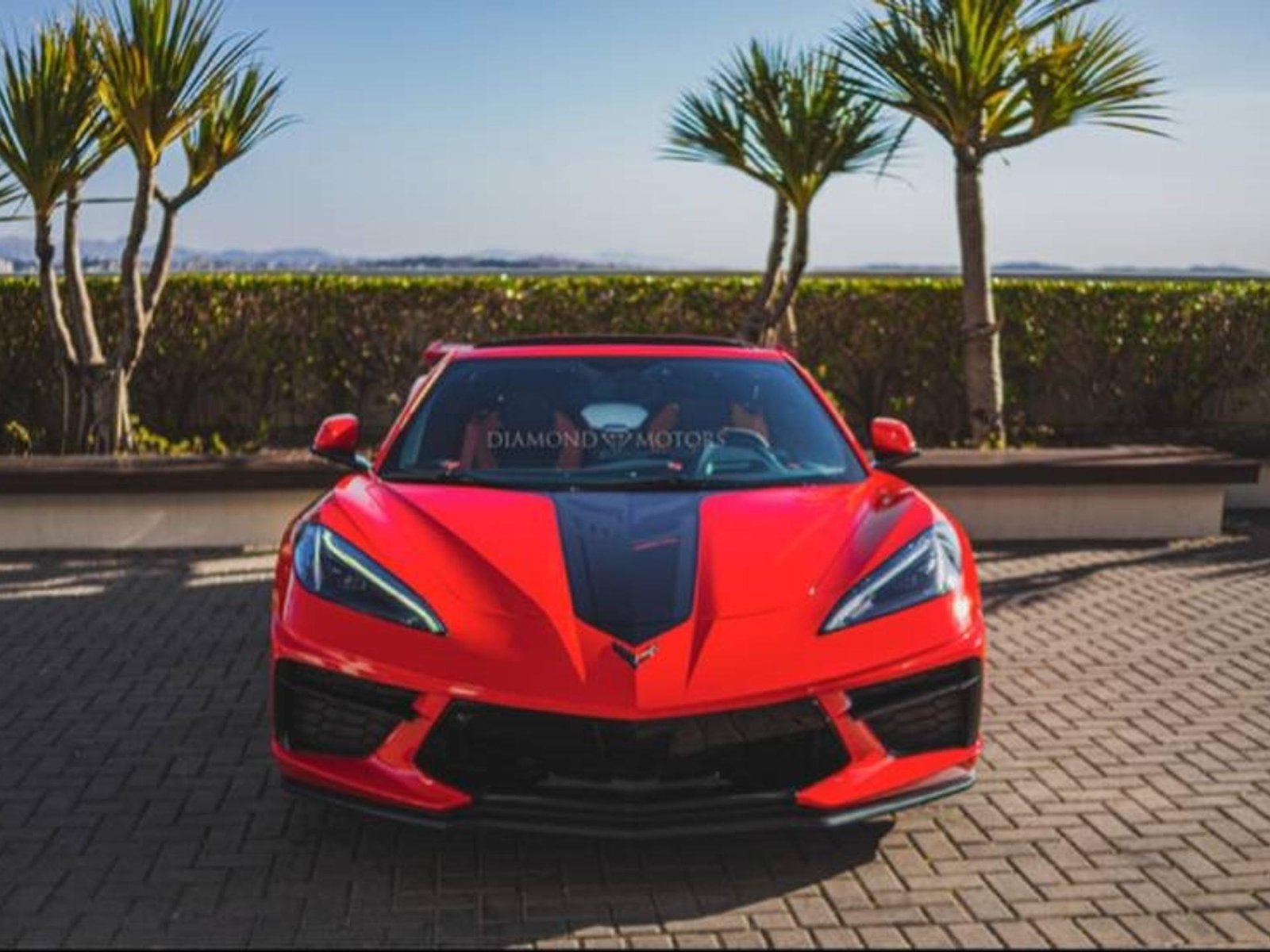 CHEVROLET CORVETTE 6.2 V8 LT3 Stingray C8.R Special Edition Automático ...